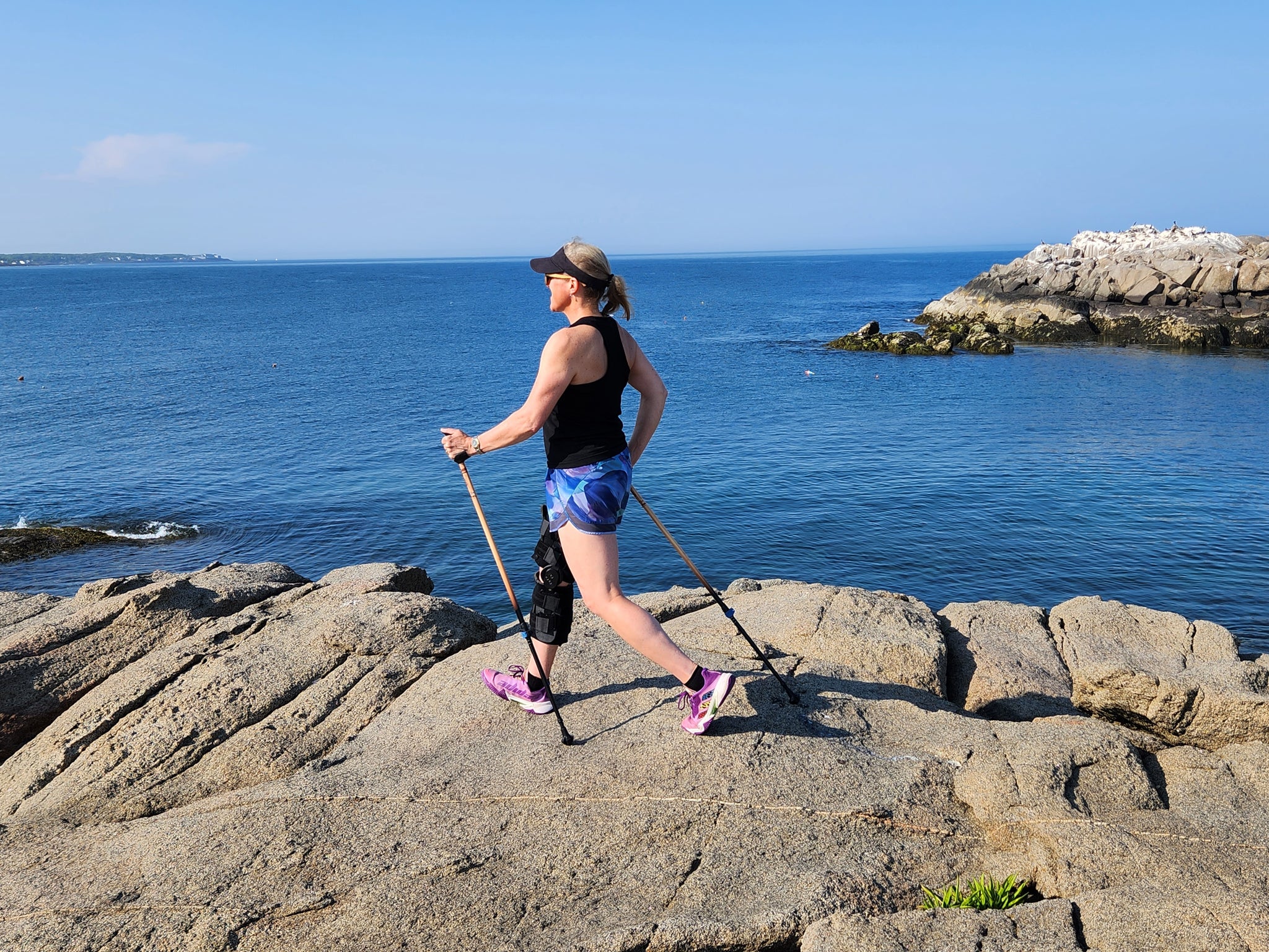 The Motivator Walking Pole - Improving Balance and Stability – York Nordic